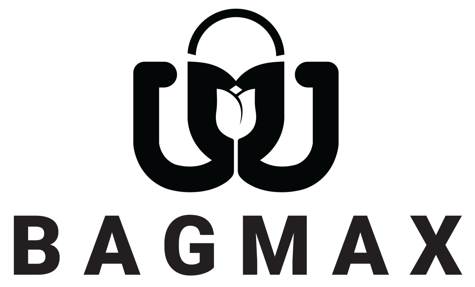 bagmax.in